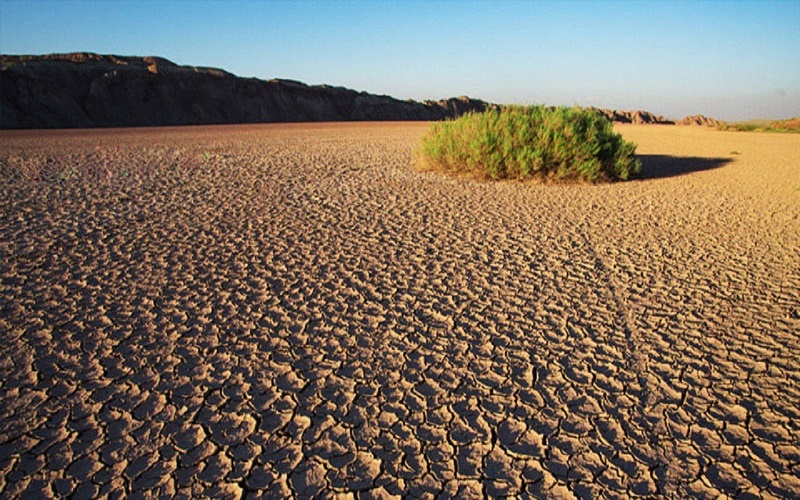 Desertification Crisis in Iran: A Looming Environmental Catastrophe ...