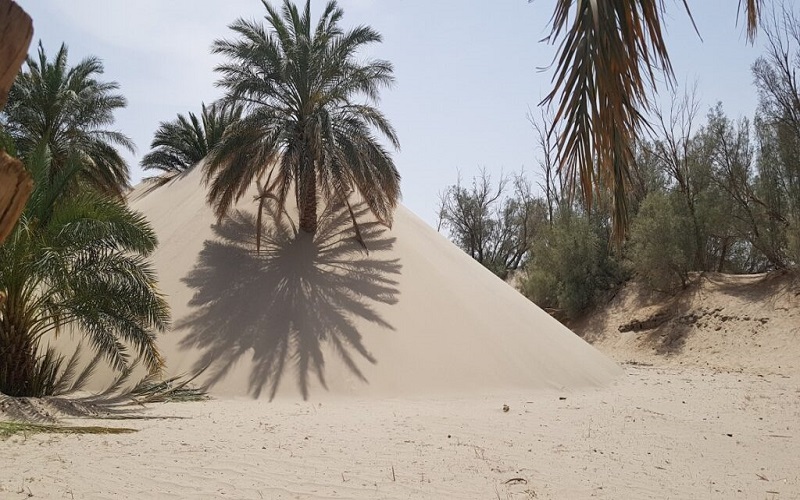 Desertification Crisis in Iran: A Growing Environmental Threat - Iran ...